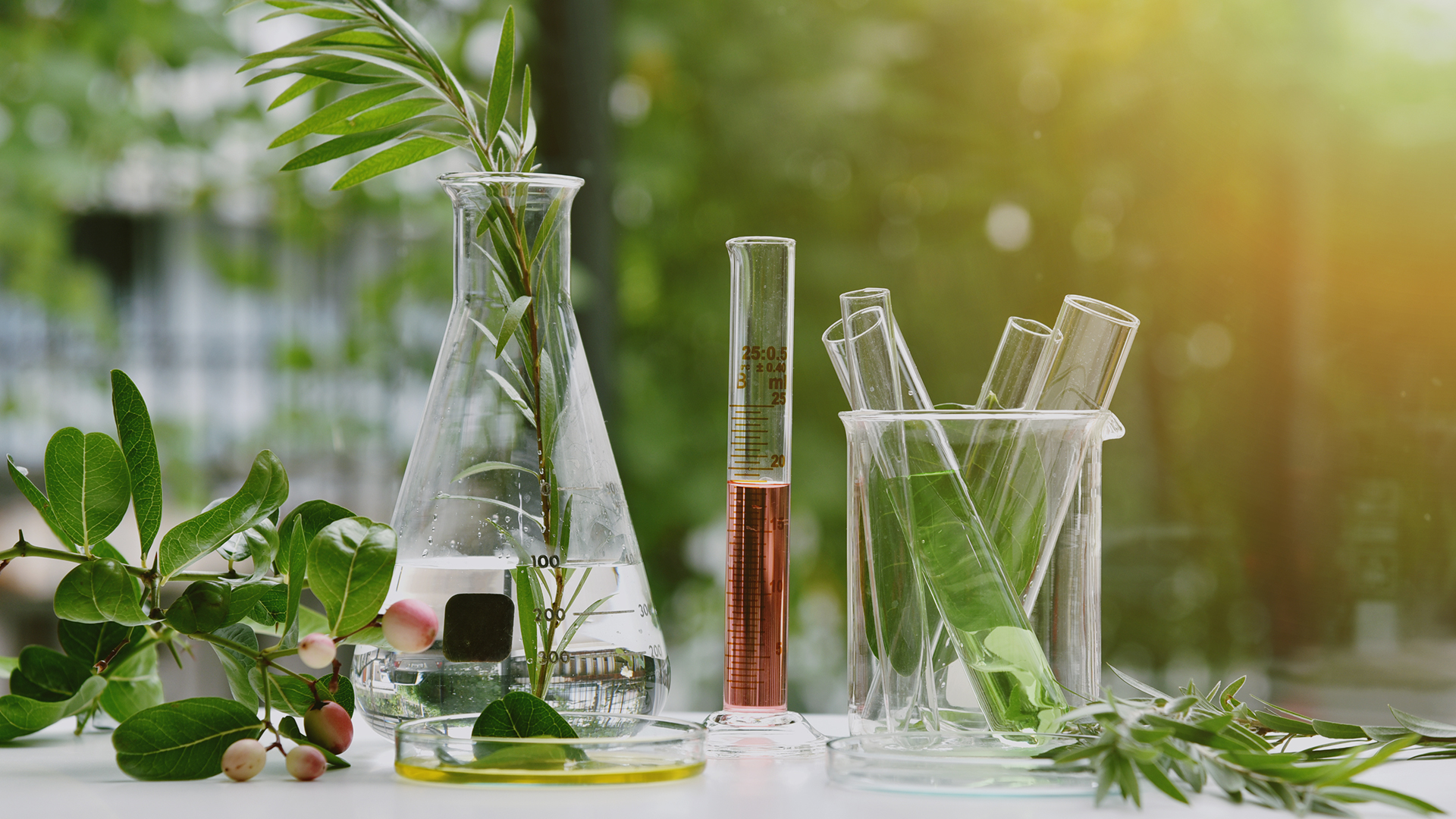 Hanwha Solutions Chemical Division